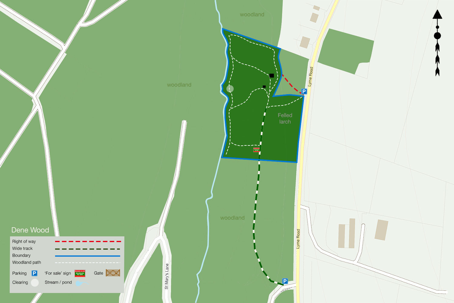 Dene Wood - Devon, Uplyme, Axminster | South West England | Forests.co.uk