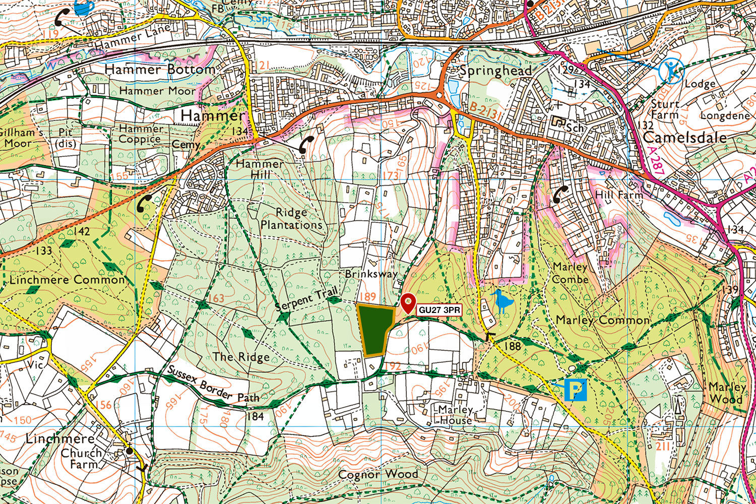 Ridge Plantation (part) - West Sussex, Linchmere, Haslemere | South ...