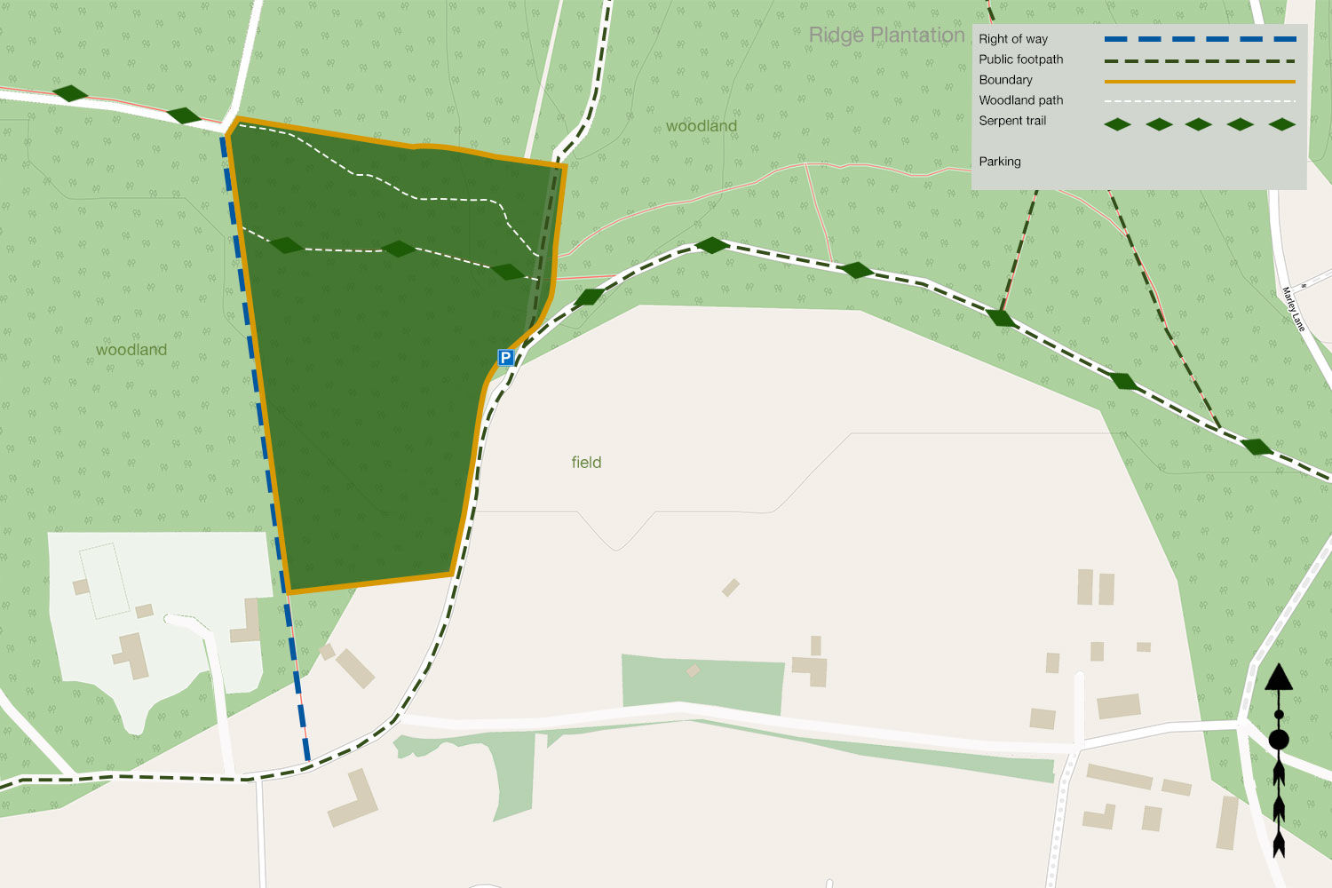 Ridge Plantation (part) - West Sussex, Linchmere, Haslemere | South ...