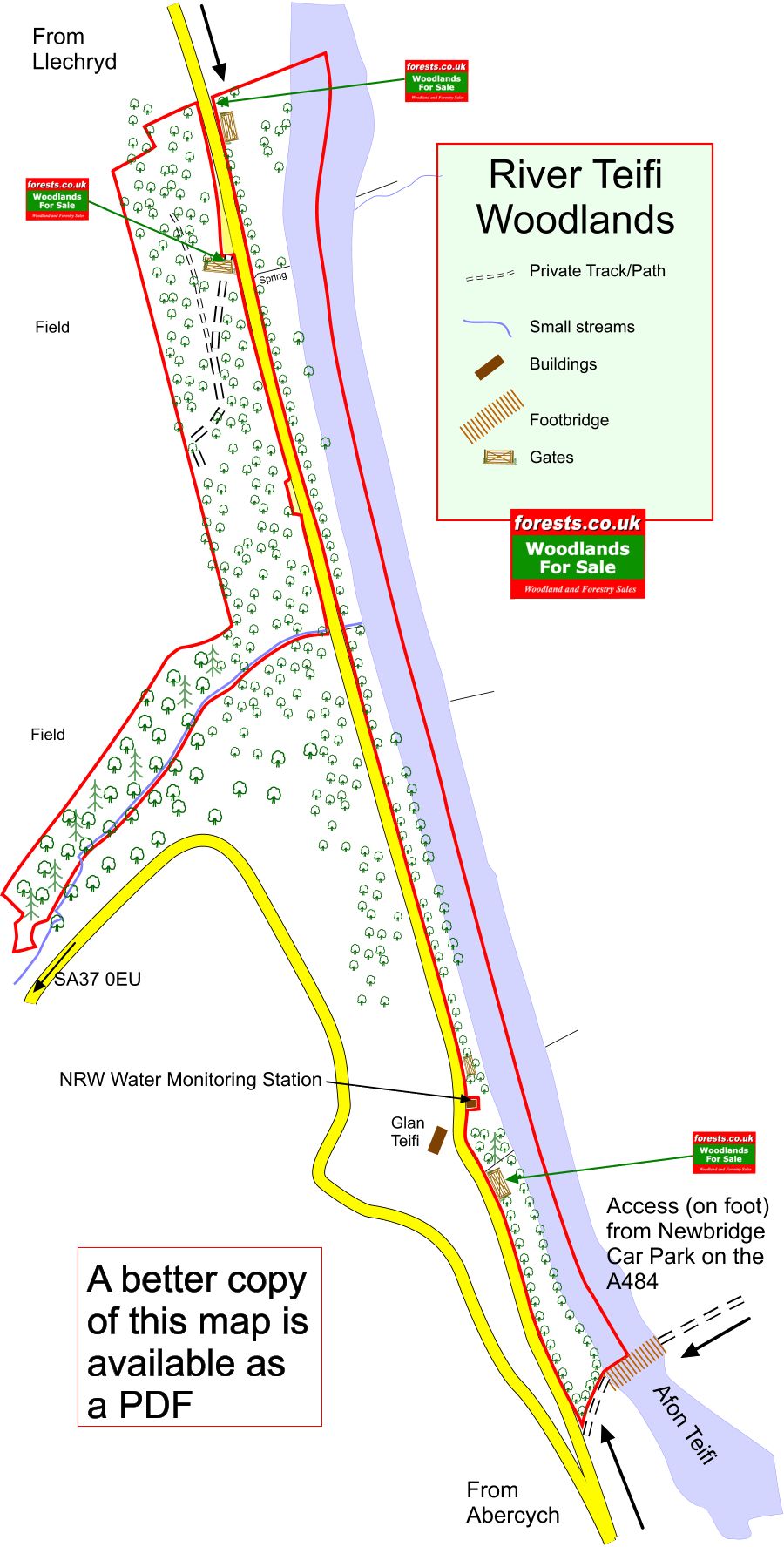 River Teifi Woodlands, Abercych, Pembrokeshire | Wales and the Welsh ...