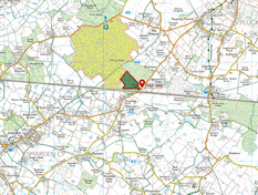 Dering Lodge Wood - Kent, Smarden, Ashford | South East England ...