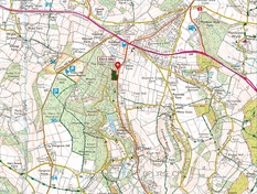 Dene Wood - Devon, Uplyme, Axminster | South West England | Forests.co.uk