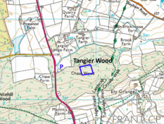Tangier Wood, Frant, Kent | South East England | Forests.co.uk