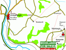 Sunnyside Wood, near Umberleigh, Devon, Warkleigh near Umberleigh in ...