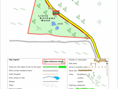 Little Bitthams Wood, Handcross near Crawley, West Sussex, Brantridge ...