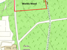 Warley Wood, Warley near Brentwood in Essex | East Anglia | Forests.co.uk