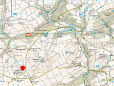 Coombe Water Wood, Stoodleigh, Tiverton, Devon | South West England ...