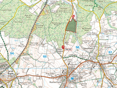 Little Millhole Wood, Eridge Lane, Rotherfield, East Sussex | South ...