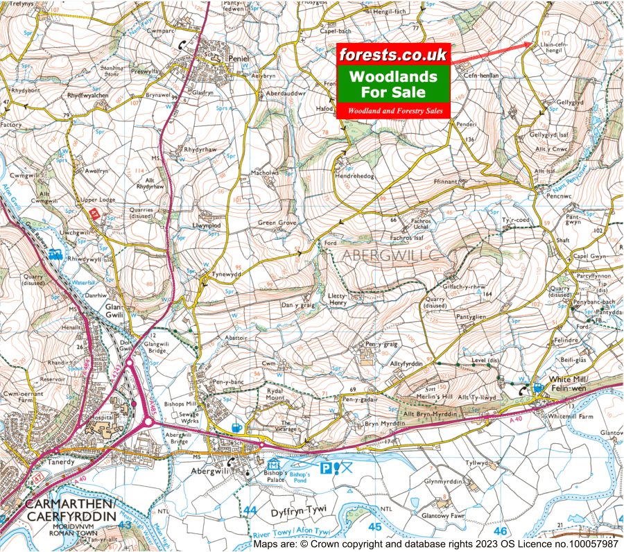 Gelli Glyd Wood, Whitemill, Carmarthen, Carmarthenshire | Wales and the ...