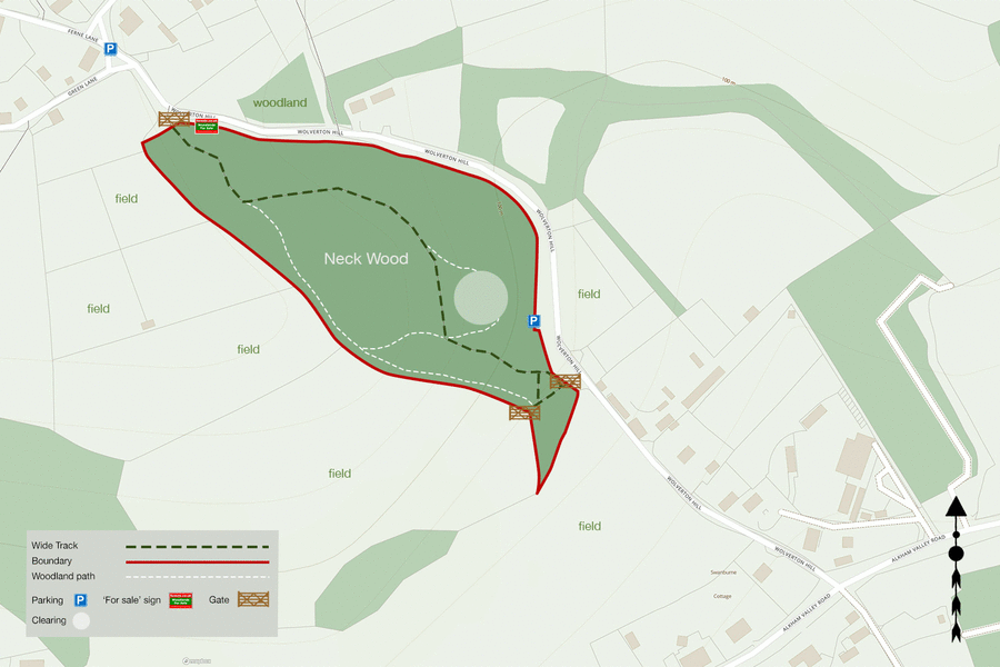 Neck Wood, Wolverton Hill, Alkham, Dover | South East England | Forests ...