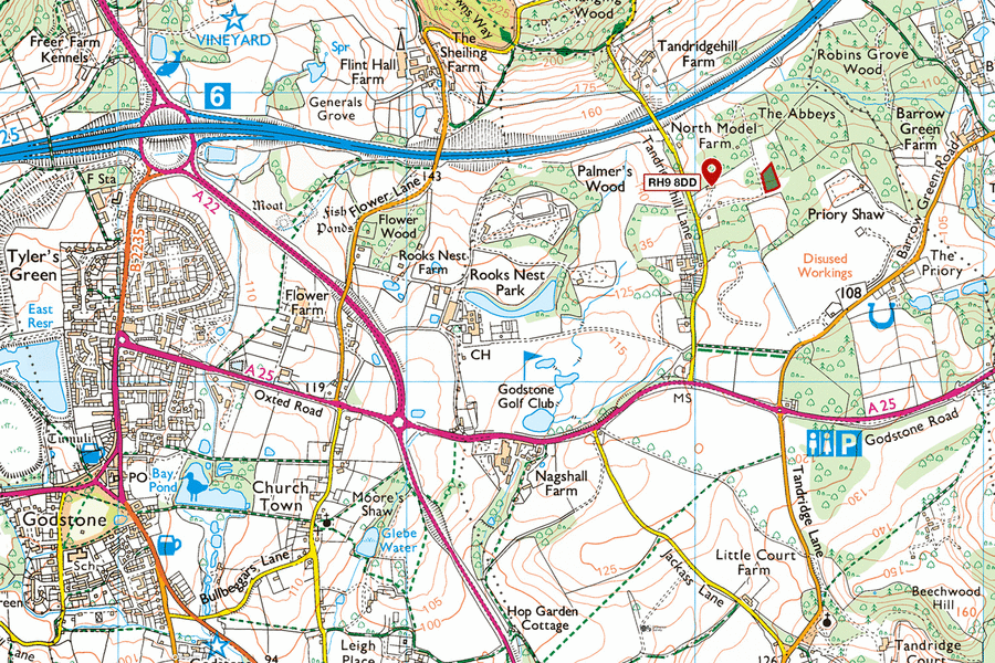 Beadles Wood, Godstone, Surrey | South East England | Forests.co.uk