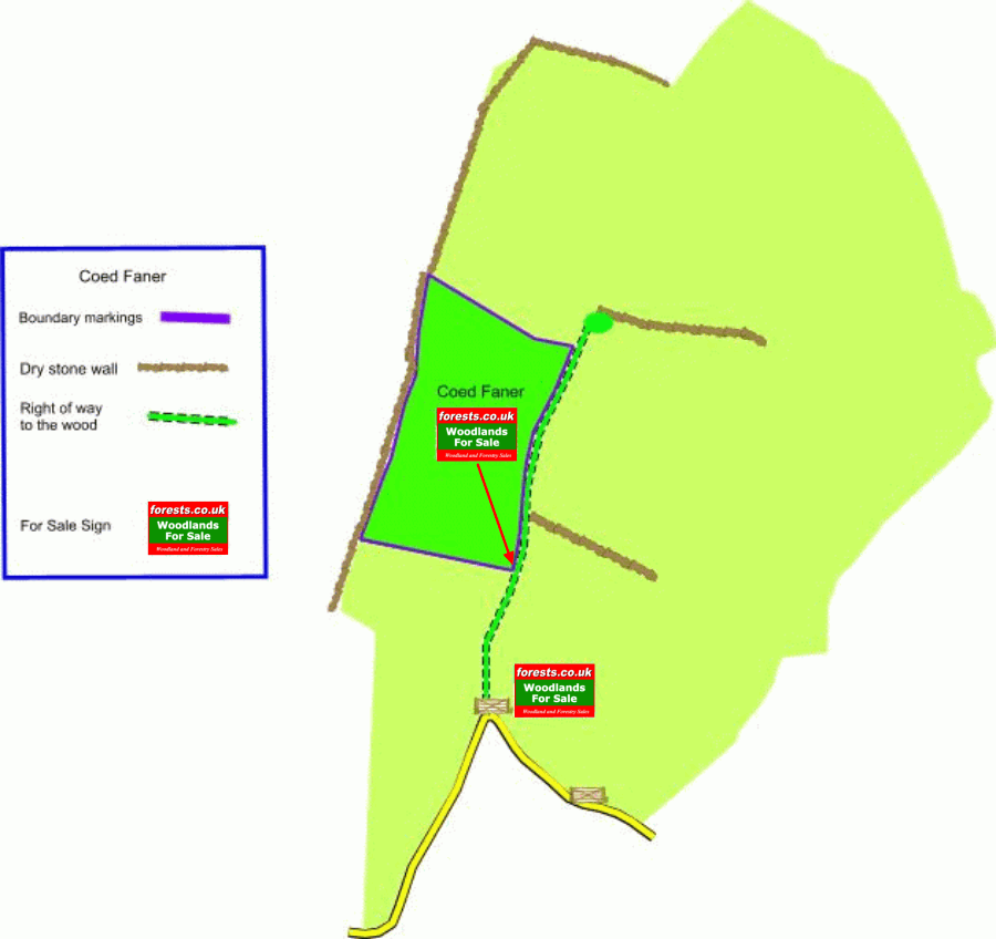 Coed Faner. Gwynedd, Eisingrug, Talsarnau, Gwynedd | Wales and the ...