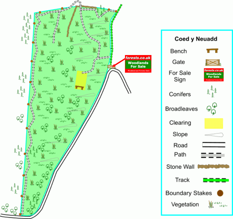 Coed y Neuadd, Gwynedd, Eisingrug, Talsarnau, Gwynedd | Wales and the ...