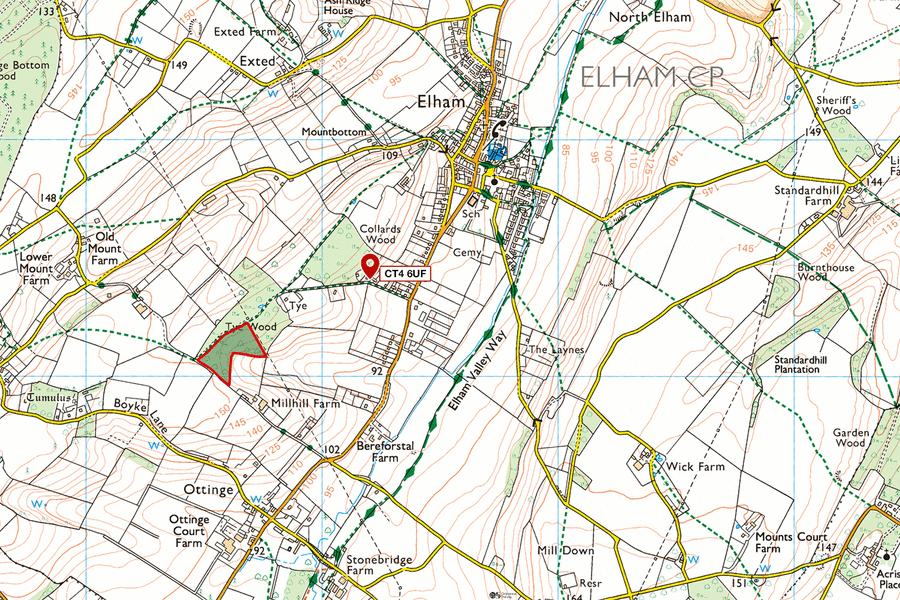 Aconite Wood, Elham, Canterbury, Kent | South East England | Forests.co.uk
