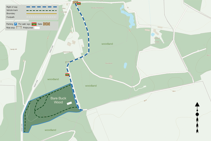 Bare Buck Wood, Bareham Woods, Hemingstone, Ipswich | East Anglia ...