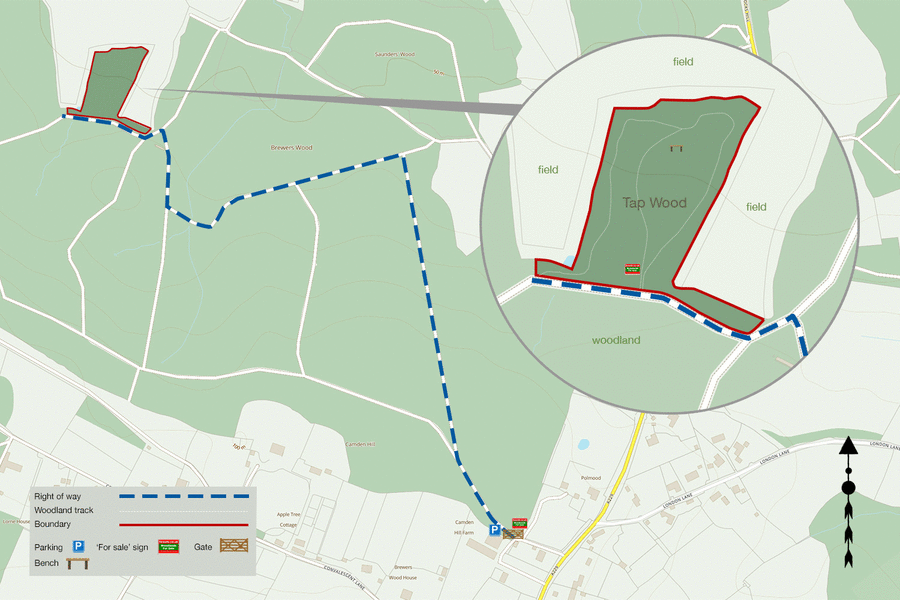 Tap Wood, Sissinghurst, Kent | South East England | Forests.co.uk