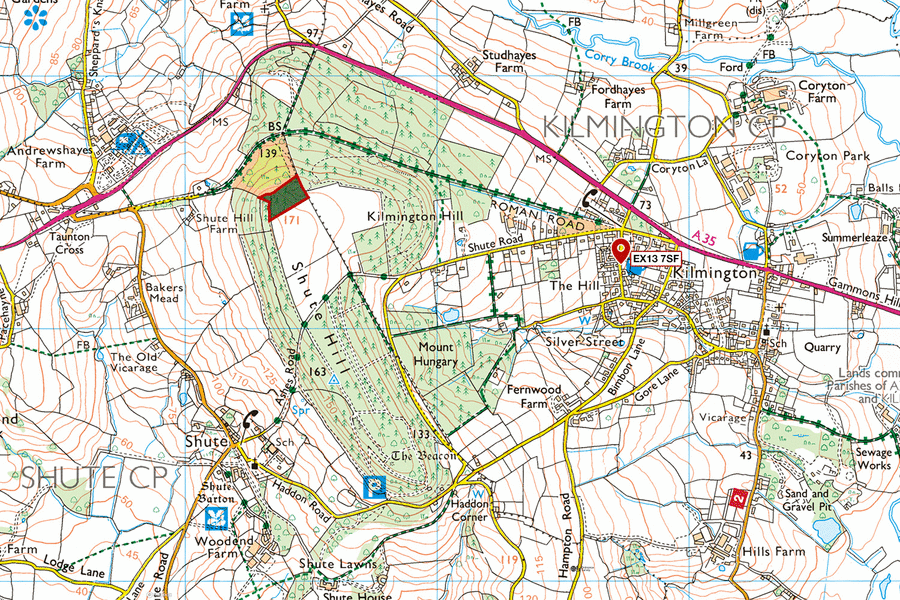 Corry Wood, Kilmington, Devon | South West England | Forests.co.uk